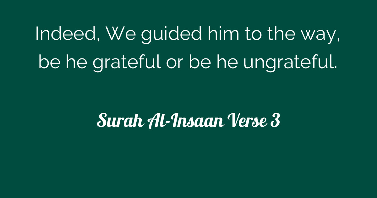 Surah Al-Insaan Verse 3 | Tafsirq.com