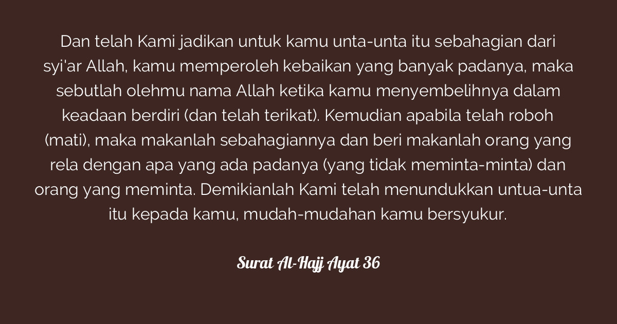 Surat Al-Hajj Ayat 36 | Tafsirq.com